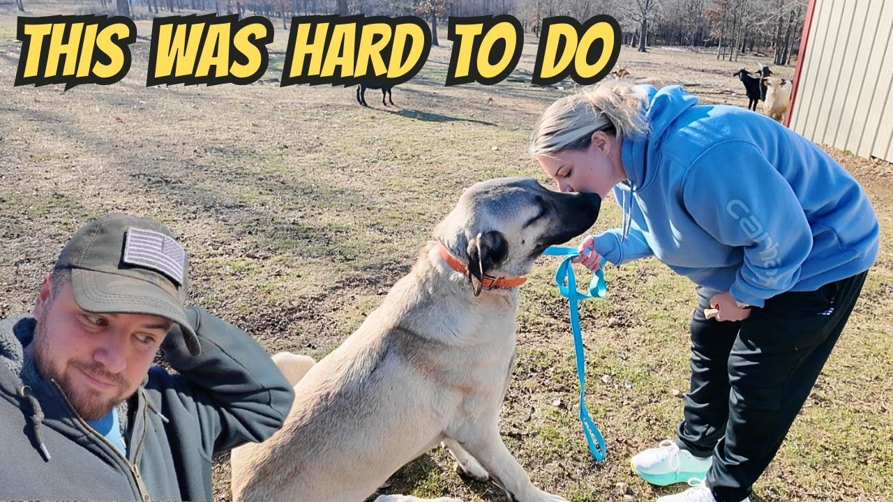 (EMOTIONAL VIDEO) Guard Dog Had To Go - YouTube