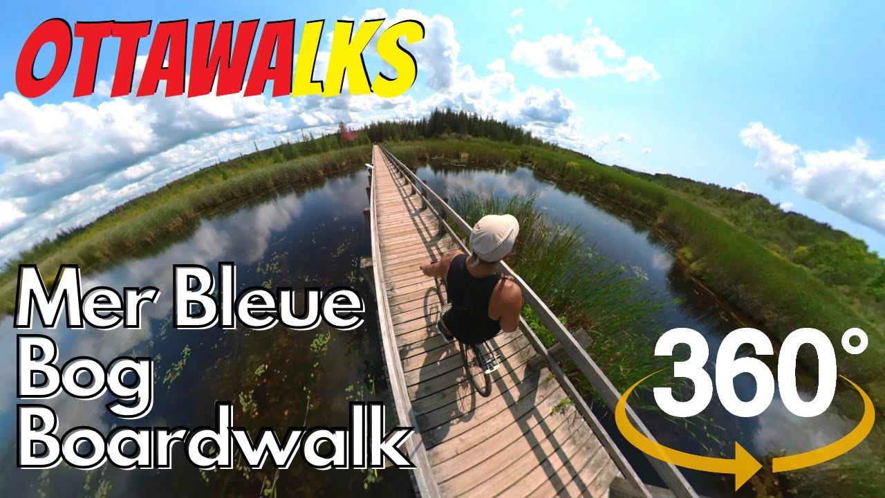 Mer Bleue Bog Boardwalk in 360° - Ottawa Trails - Capital of Canada ...