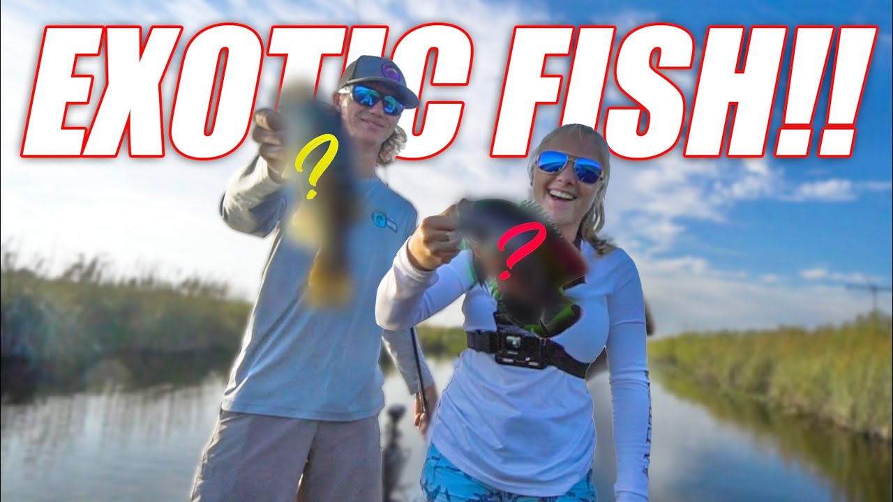 EXOTIC FISH CHALLENGE! - YouTube