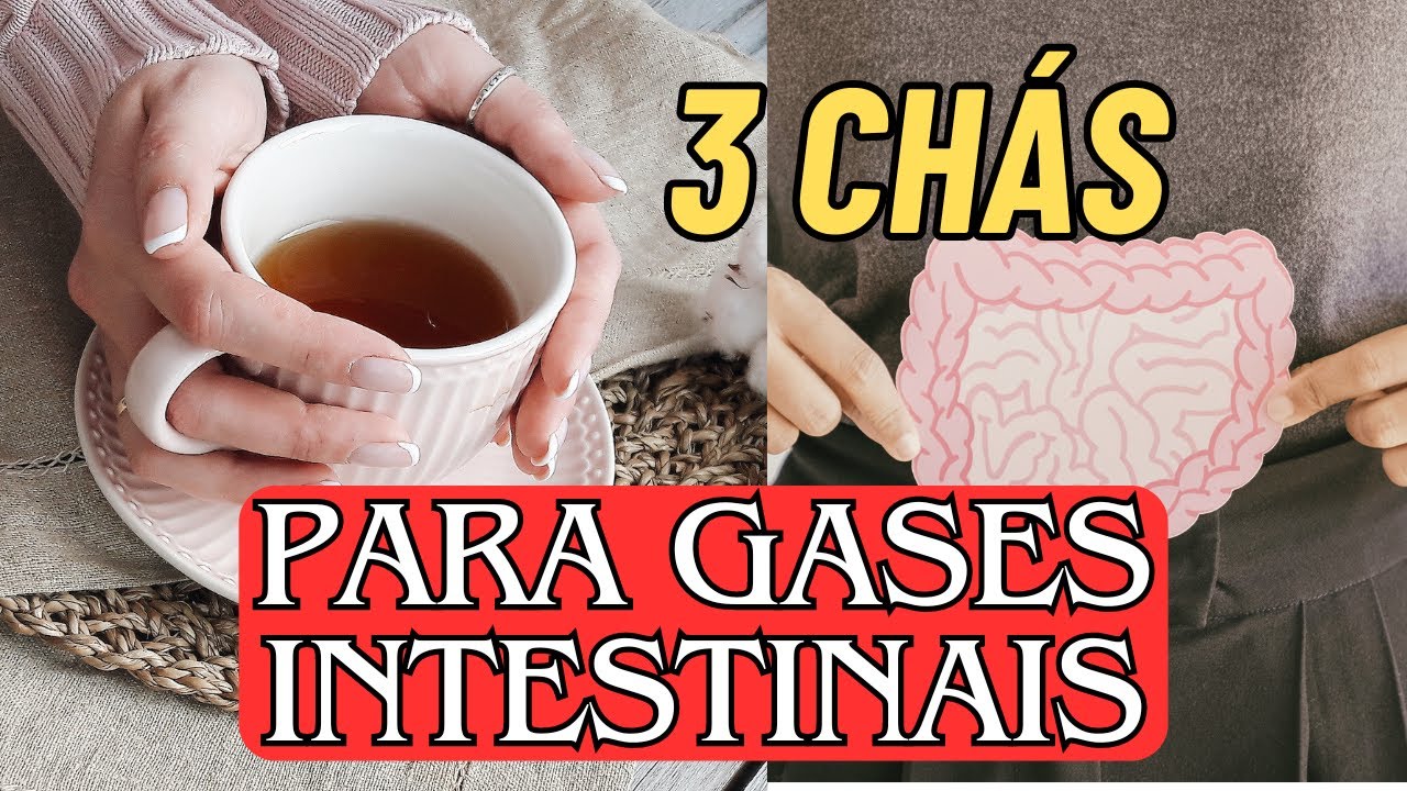 3 Chás Para Gases Intestinais. O Que Fazer Para Gases Intestinais ...