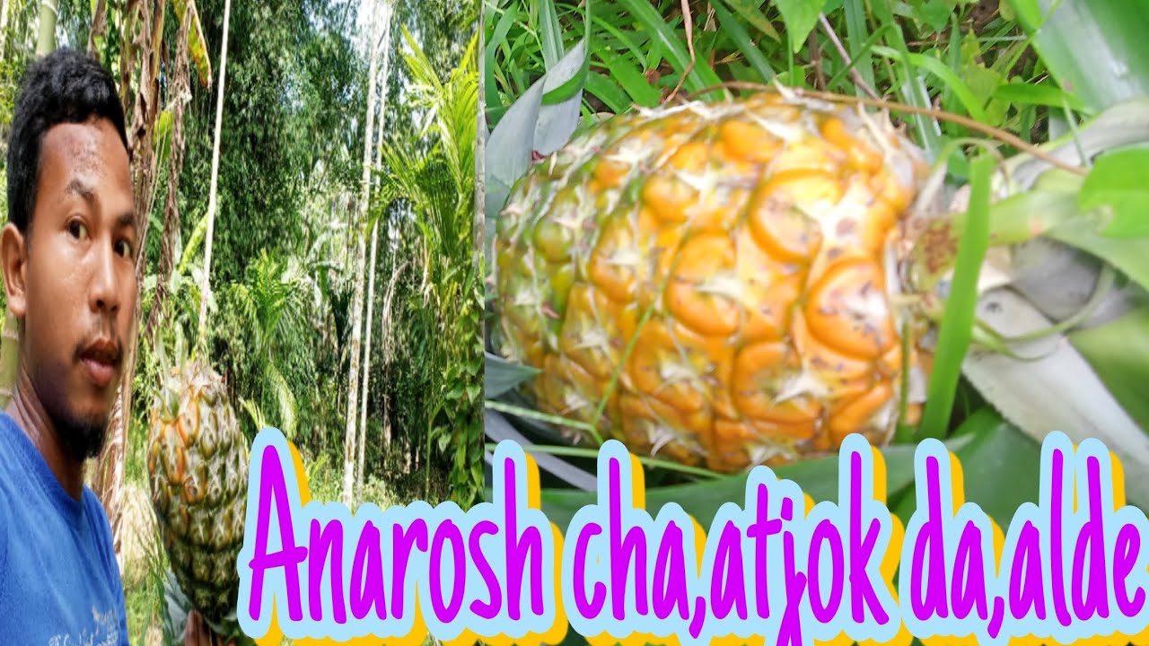 Anarosh// cha,atjok //da,alde - YouTube