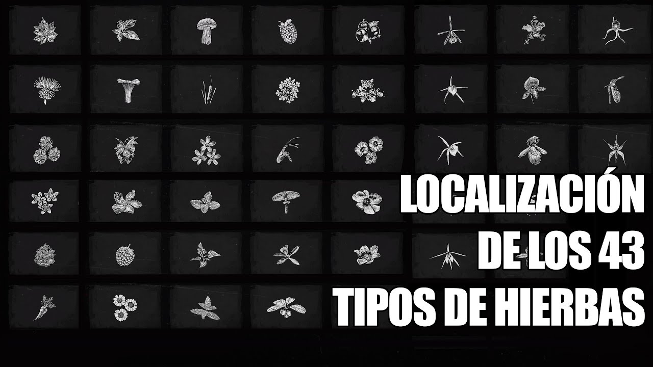 Red Dead Redemption 2 – Localización de TODOS (43) los tipos de hierba ...