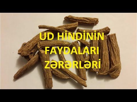 Udi Hindi Bitkisi, Yağı, Macunu; Faydaları ve Yan Etkileri