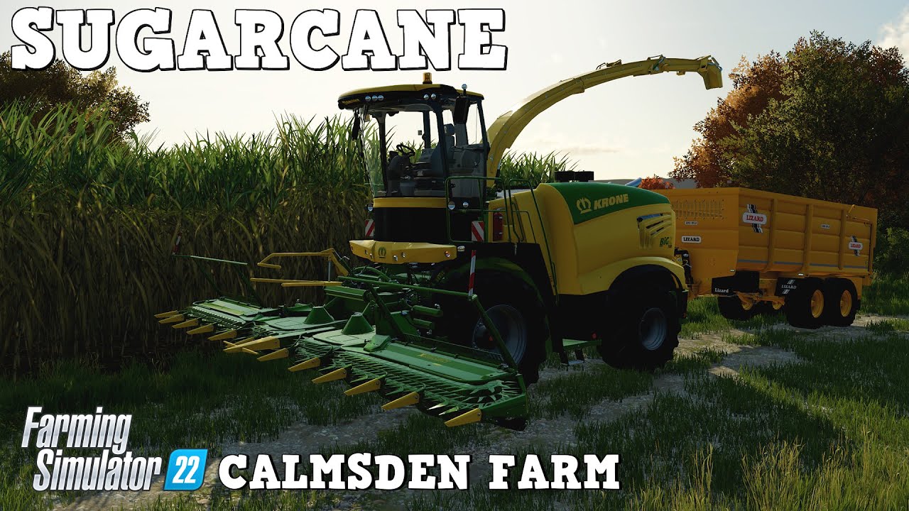 Jaw-Dropping Sugarcane Harvest | Farming Simulator 22 | EP22 - YouTube