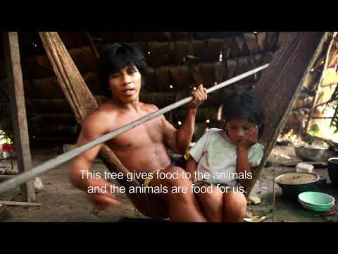 Amazon Diaries: Important message from the Amazon warrior