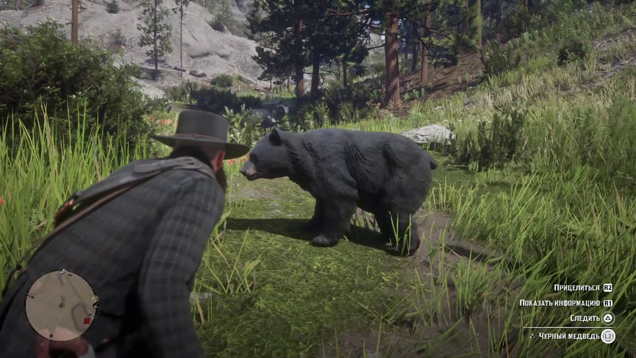 Red Dead Redemption 2 friendly bear - YouTube