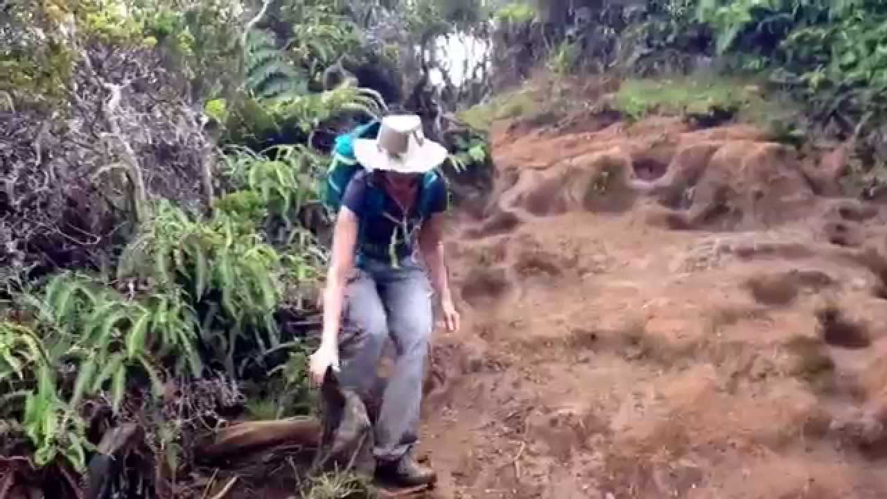 Pihea Trail in Koke'e State Park, Kauai, Hawaii (highlights) - YouTube