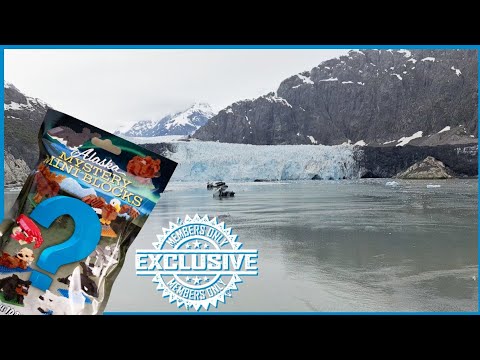 Alaska Mystery Mini Blocks unBoxing Match with Jackson & Wyatt - YouTube