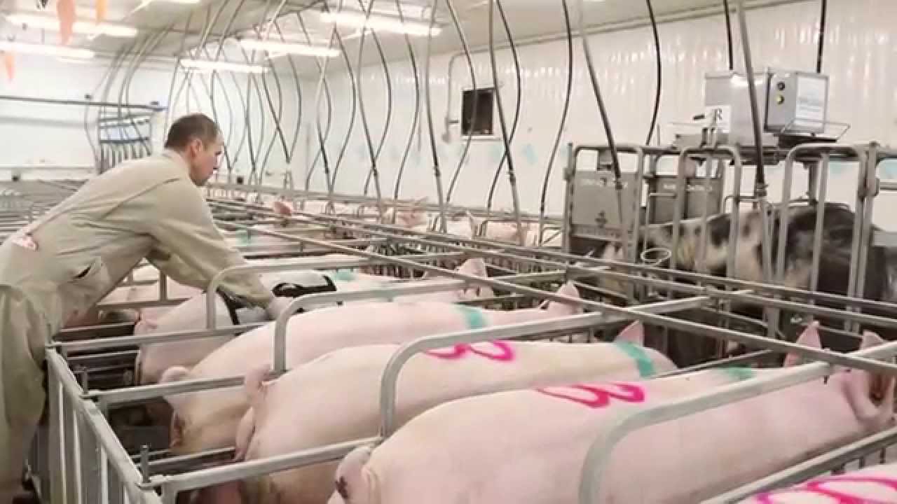 Réalisation Imago - Conception Ro-Main - Contact-O-Max - YouTube