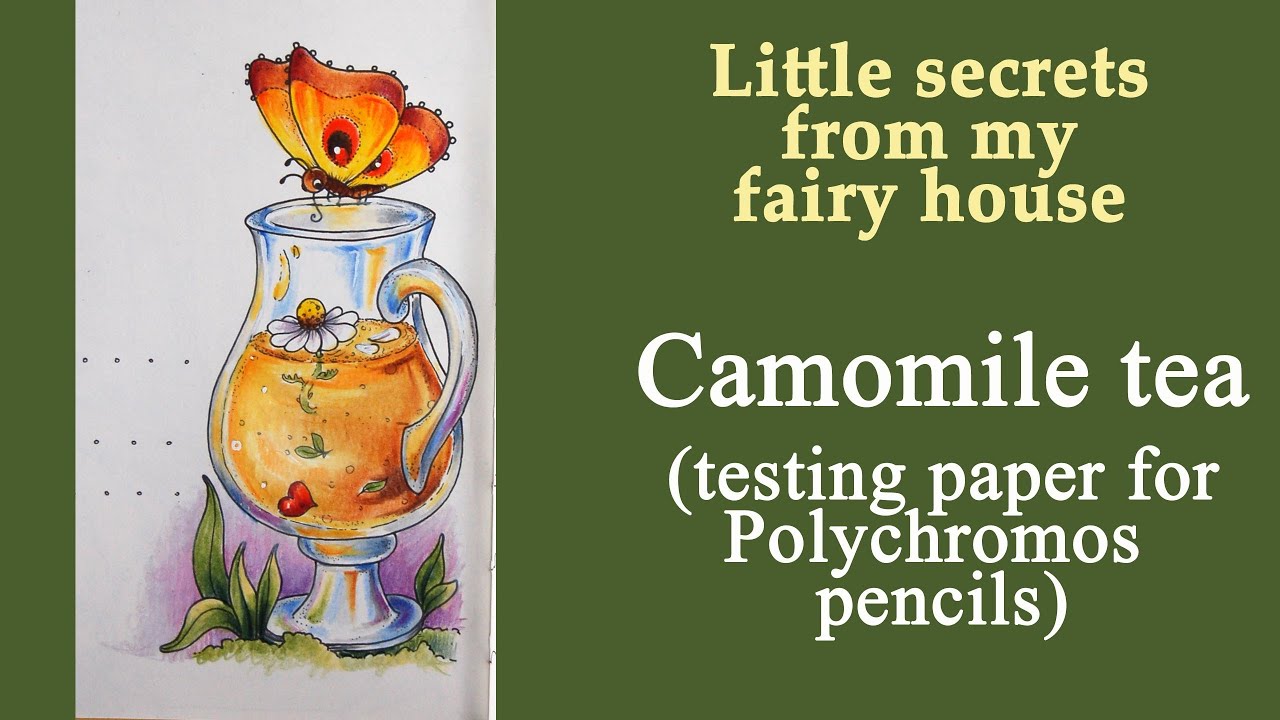Camomile tea. Testing Polychromos pencils on paper in K.Markova's ...