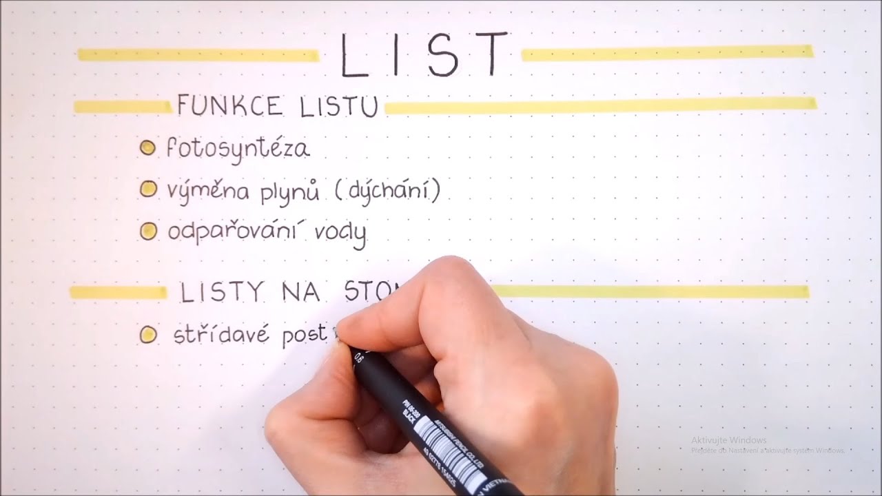 List, Jednoduché a složené listy, Vnější a vnitřní stavba listu ...