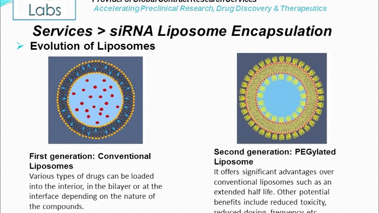 siRNA Liposome Encapsulation Service - YouTube