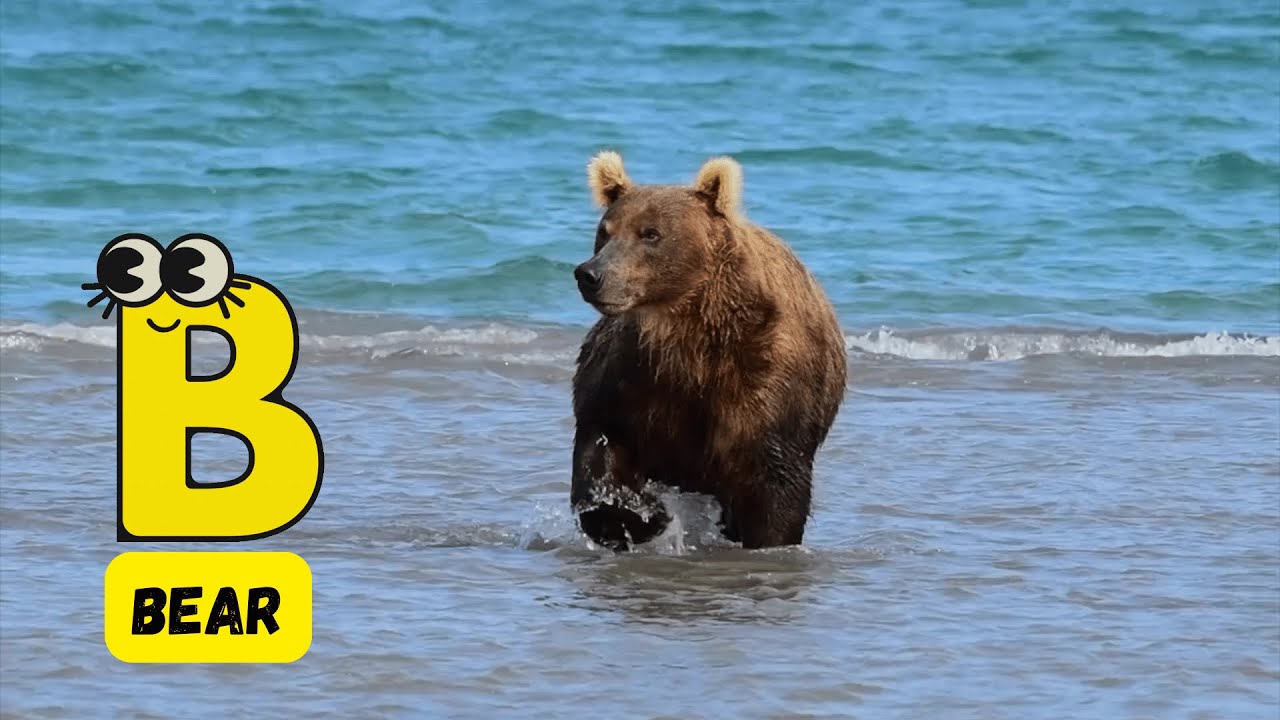 The Big "B" Song for Kids | Learn 50+ Words that Start with B | Fun ...
