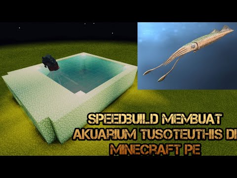 Speedbuild membuat akuarium Tusoteuthis di minecraft pe - YouTube