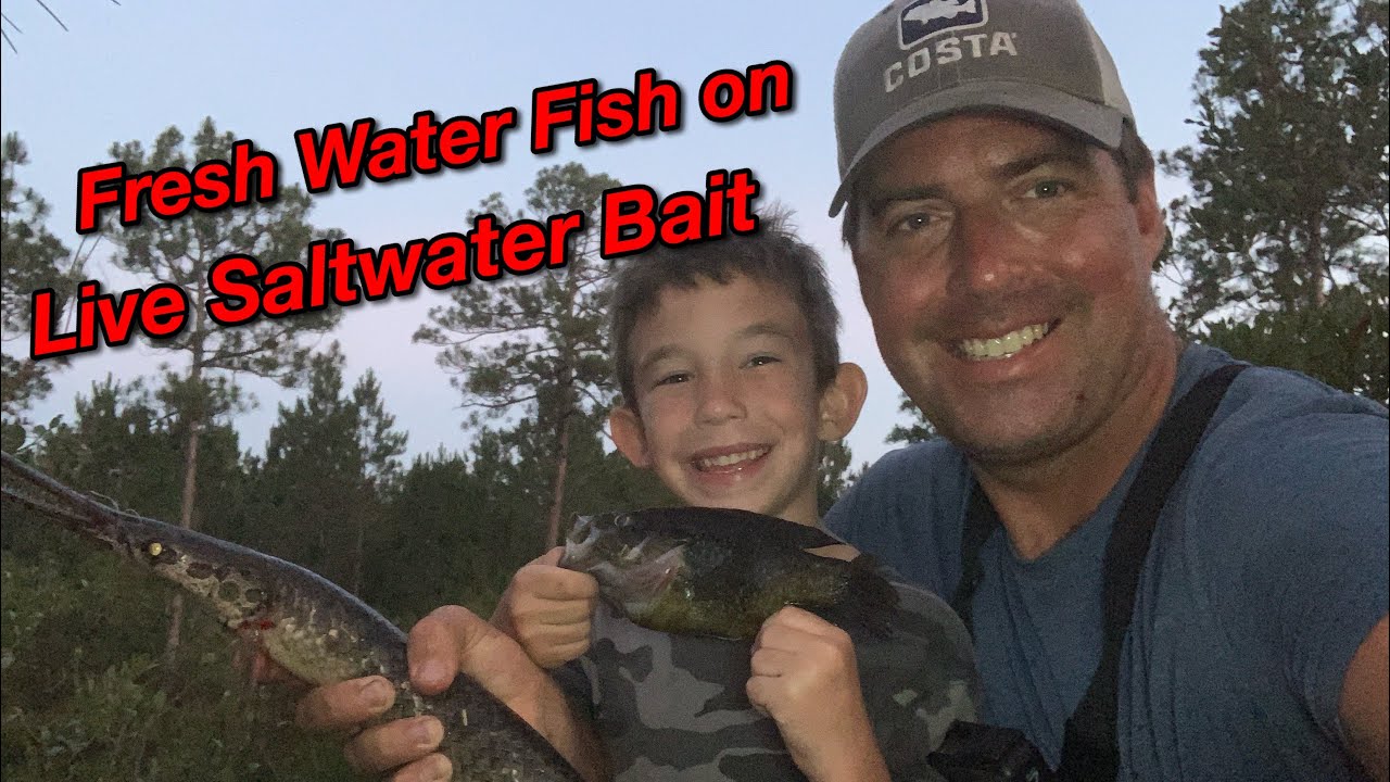 Fishing with Pogies and Pin fish for fresh water fish! - YouTube