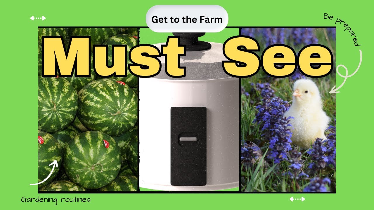 'Get To the Farm' 10 Must-Visit Channels - YouTube