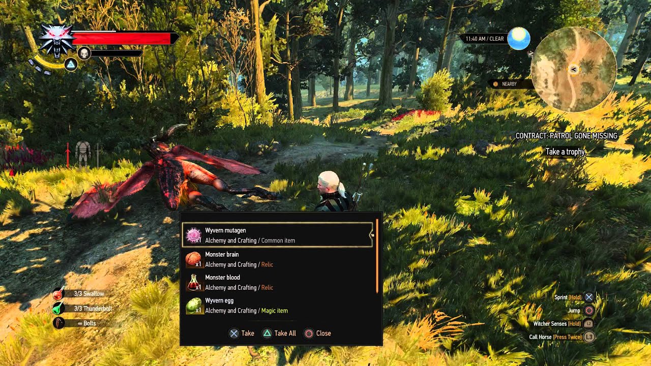 The Witcher 3 - Contract: Patrol Gone Missing: Kill the Draconid Wyvern ...