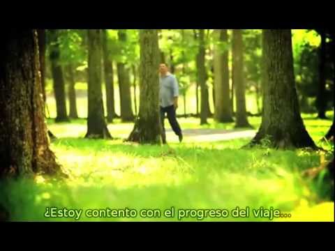 DECISION POINT Session 1 (subtitulos español) Navigation Dynamic ...