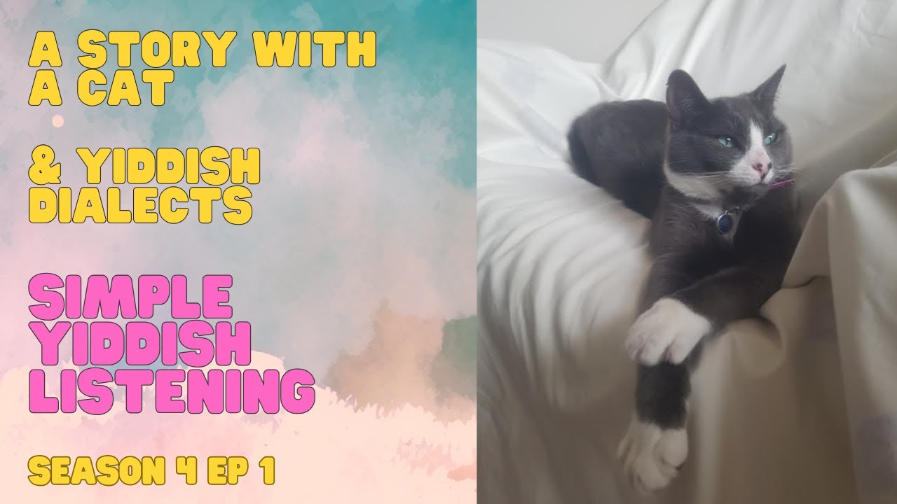 Yiddish Listening practice - a story with a cat and Yiddish dialects ...