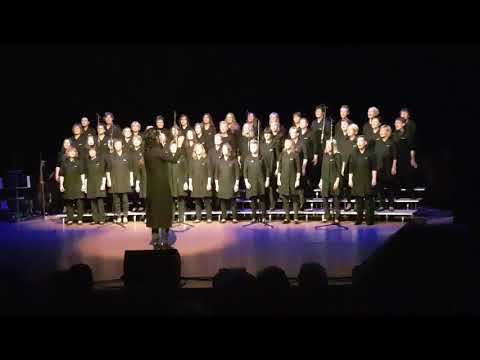 Madrigalen 20 år - Hvem styrde hit din väg?
