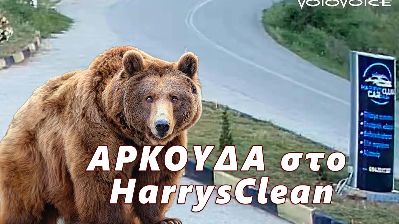 ΑΡΚΟΥΔΑ στη ΣΙΑΤΙΣΤΑ! | Στο πλυντήριο του Harry Clean! - YouTube
