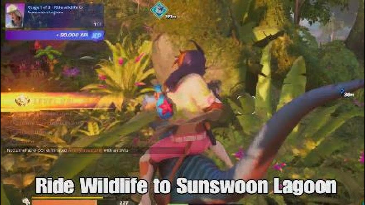 Ride Wildlife to Sunswoon Lagoon - Stage 1 of 3 - Fortnite Summer ...