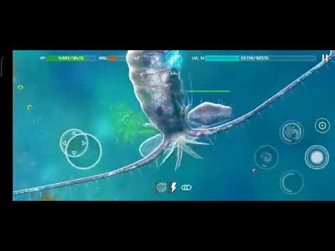 Bionix gameplay - how strong is lvl 51 copepod. - YouTube