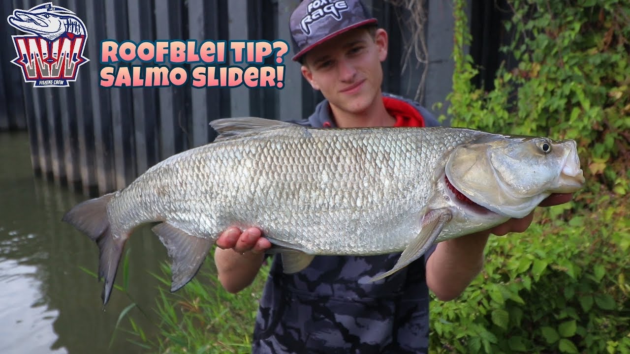 VISSEN OP GROTE ROOFBLEI MET DE SALMO SLIDER mini! Snoeken Snoek Baars ...