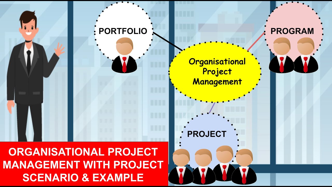Organizational Project Management : Portfolio, Program and Project |PMP ...