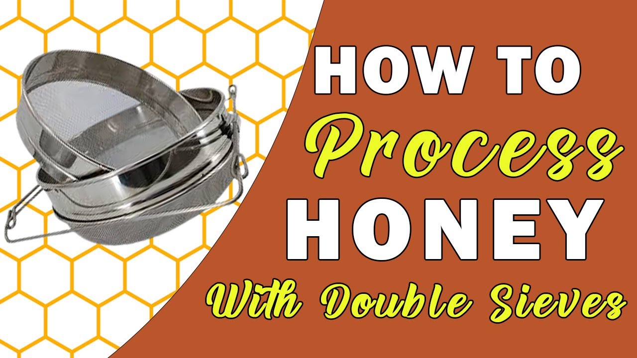 STAGE #2& 3 HOW TO PROCESS HONEY STEP BY STEP - YouTube