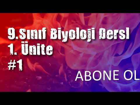 9 Sınıf Biyoloji Ünite 1 Bölüm 1 , TYT , ÜNİVERSİTE , SINAV