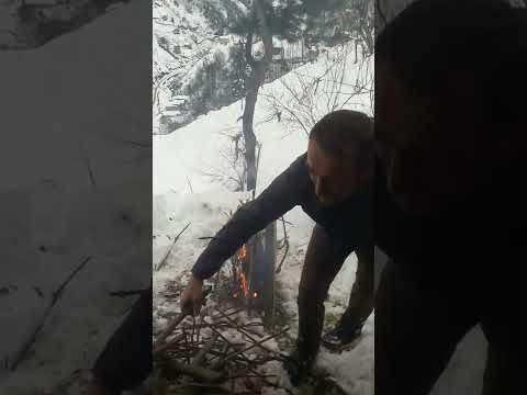 yer alaska modagome 'le daglari