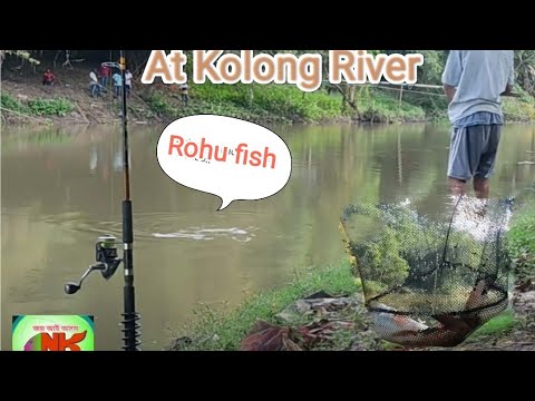 Rohu Fish back to back on hook at kolong River Assam #fishing - YouTube