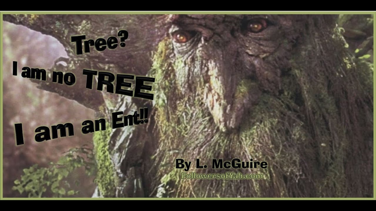 "Tree? I am no tree. I am an Ent." Pt 1 of Red Team Blue Team Which ...