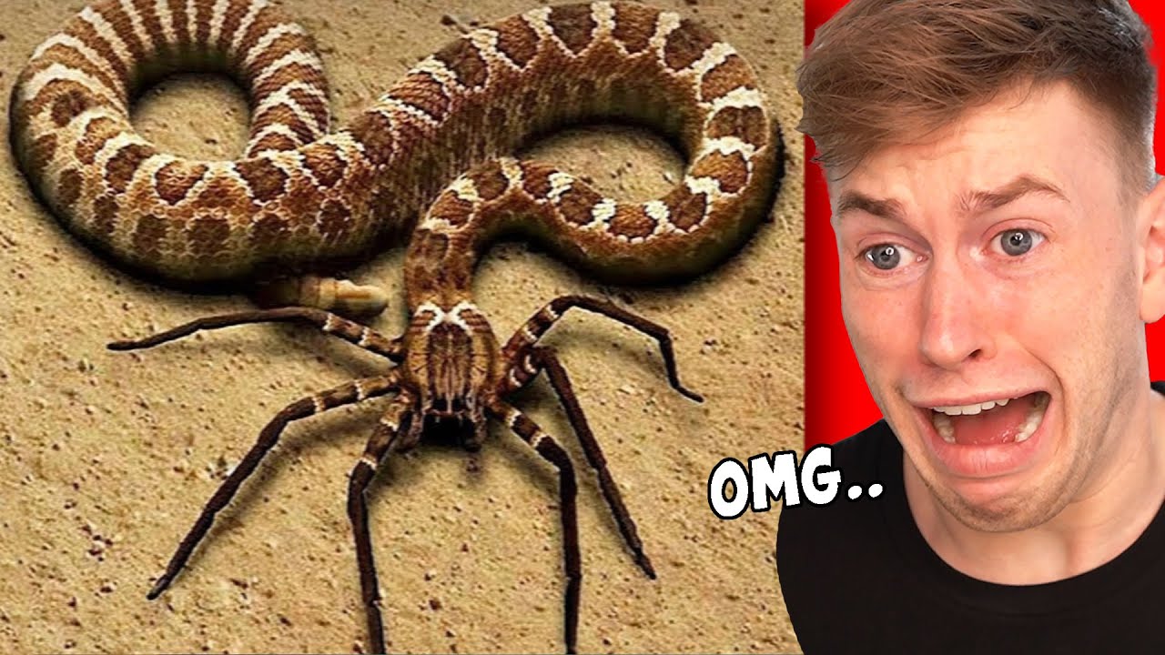 Neue Tier-Arten, die in den letzten Jahren ENTDECKT wurden.. - YouTube