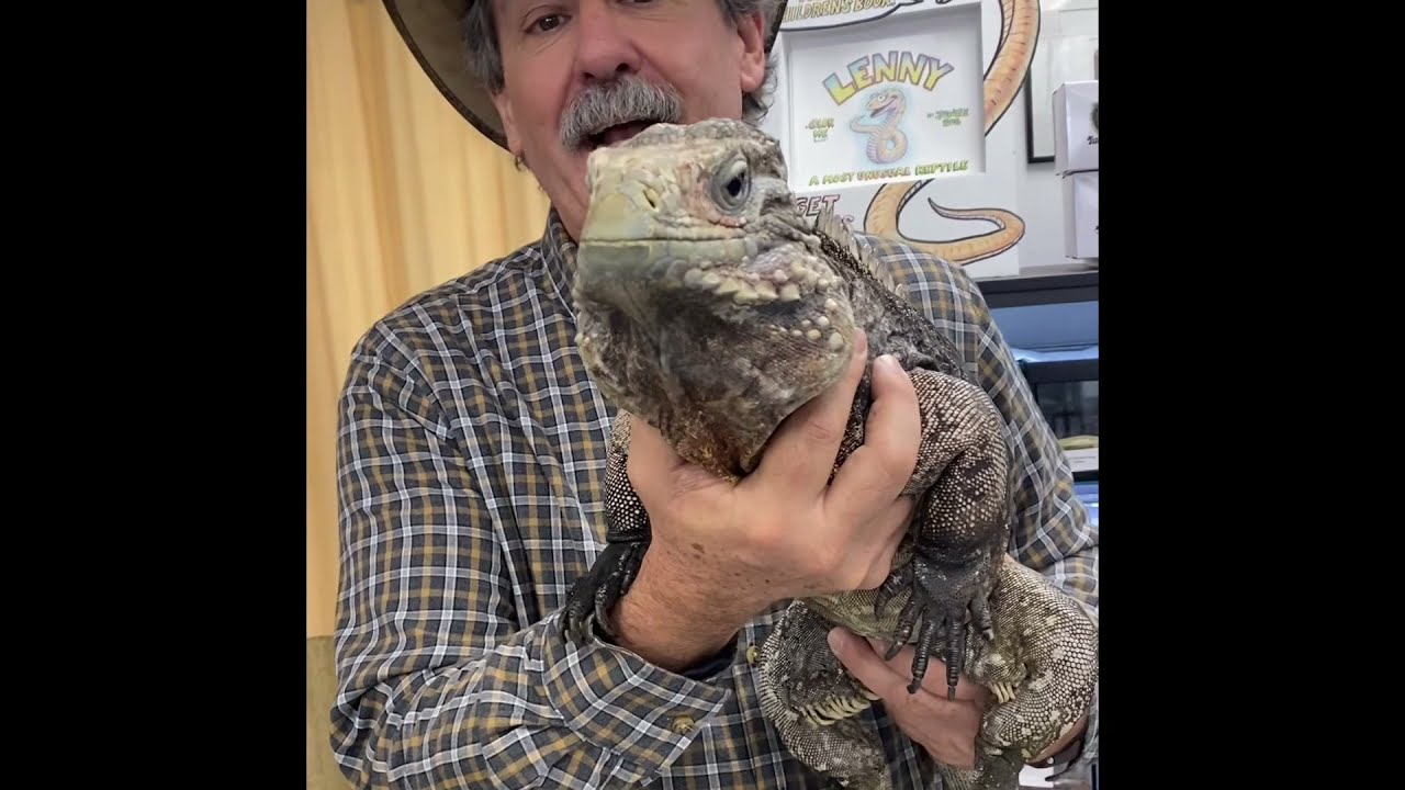 Jungle Bob's Reptile World - Store of the Month April 2021 - YouTube