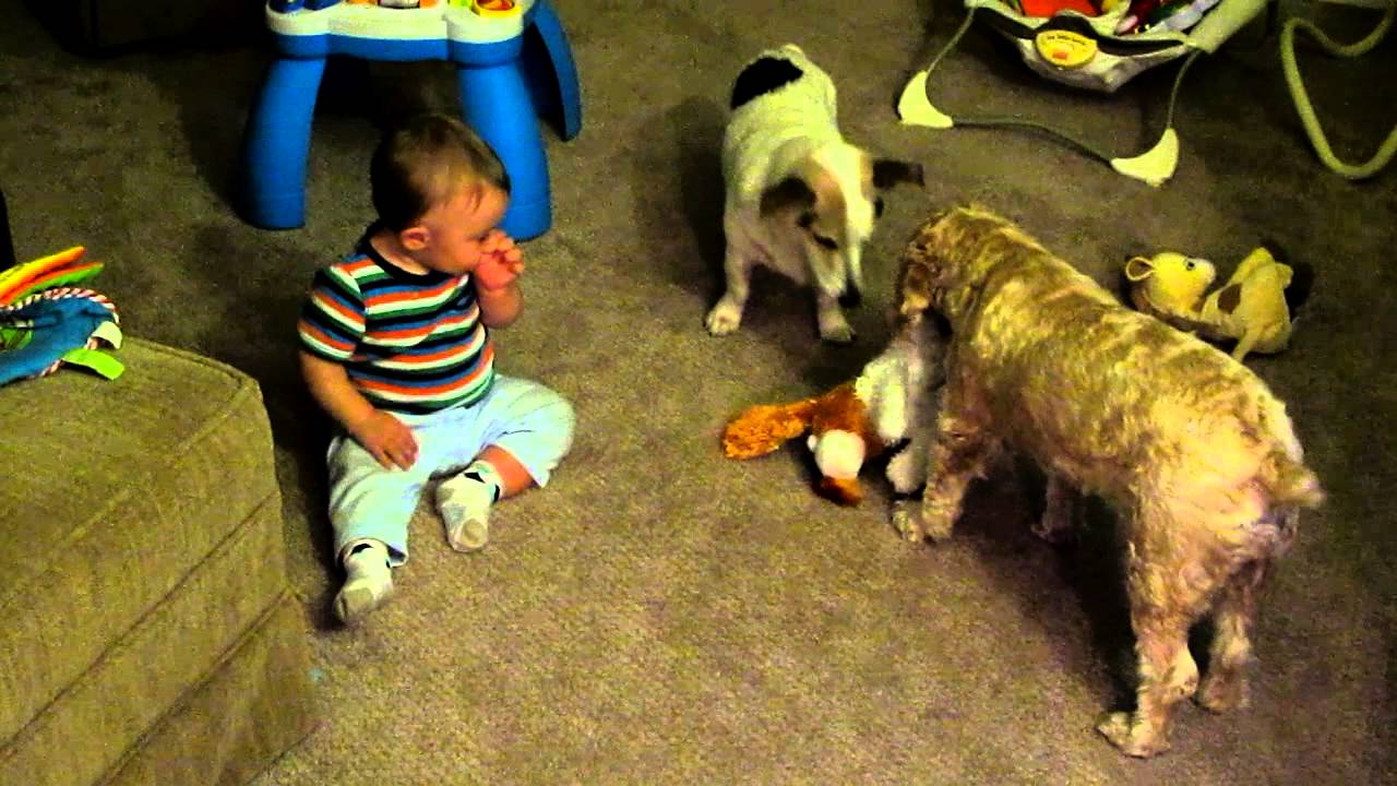 Ryan Jaxon - YouTube