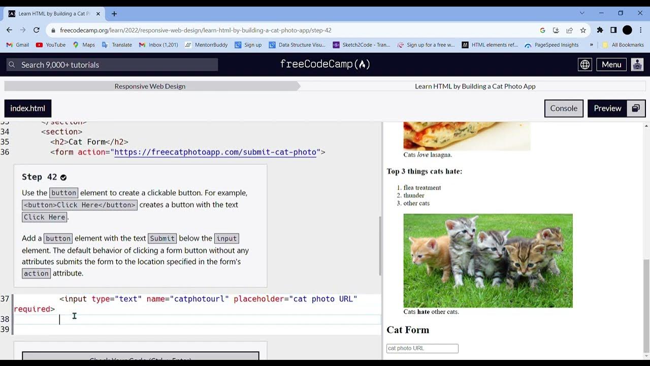 Learn HTML by Building a Cat Photo App Step - 42 || freeCodeCamp - YouTube
