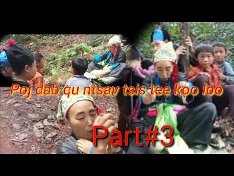 Poj dab qu ntsav tsis tee koo loo - YouTube