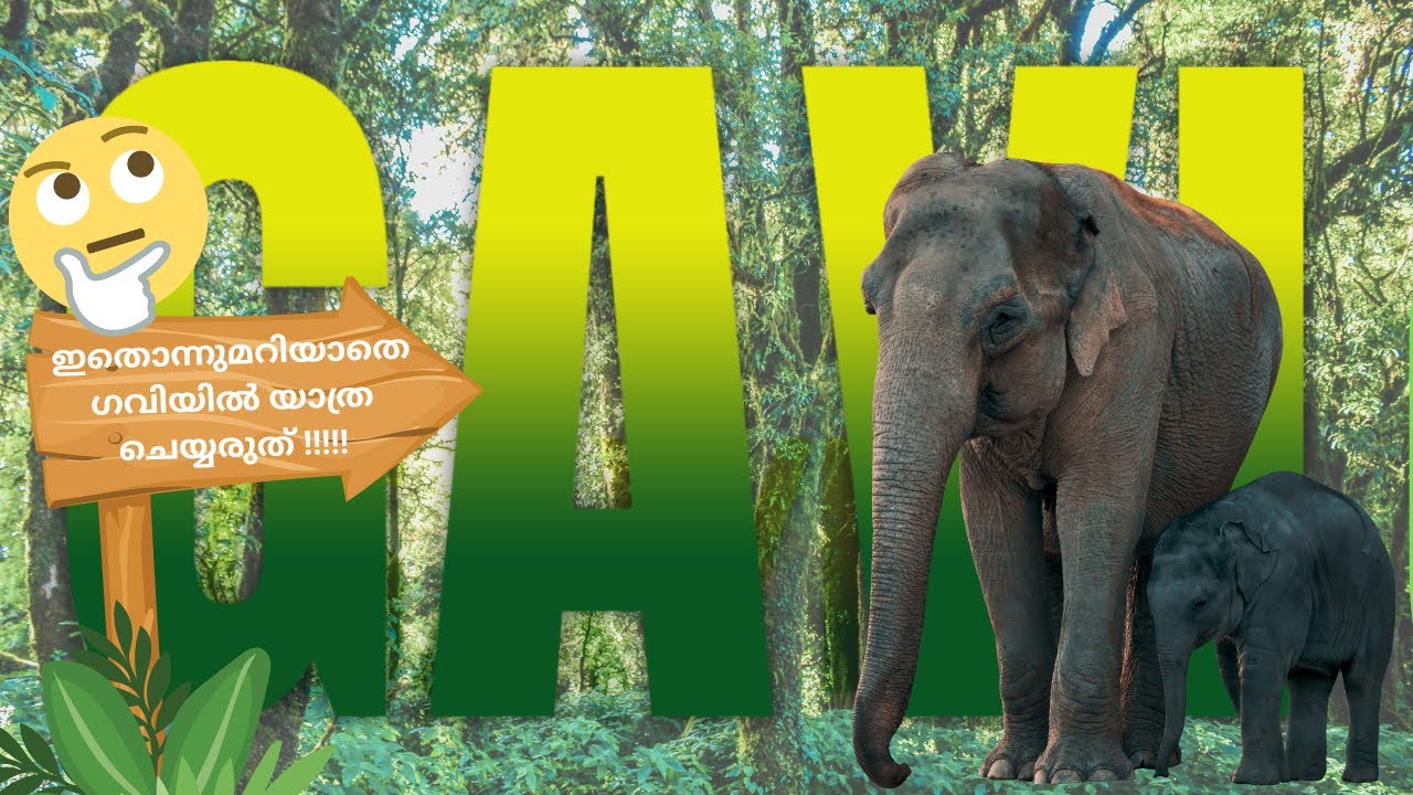 5 Must Knows for an Unforgettable Gavi Trip | KSRTC Gavi Trip | How to ...