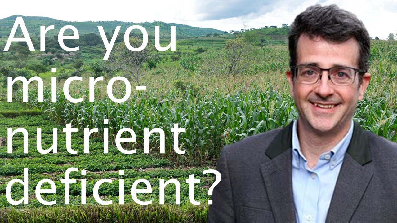 Global diets & micronutrient deficiencies - Martin Broadley - YouTube