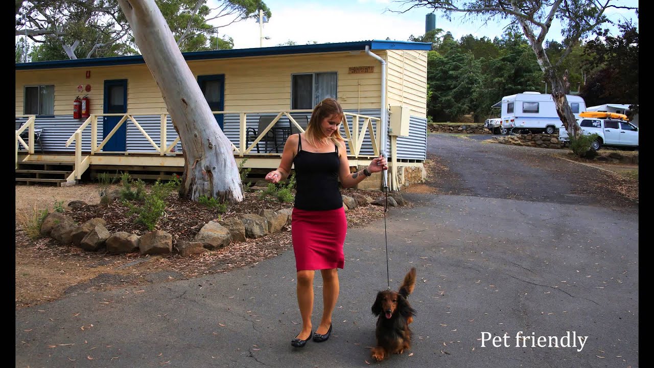 Cooma Snowy Mountains Tourist Park - Sites presented by Peter ...