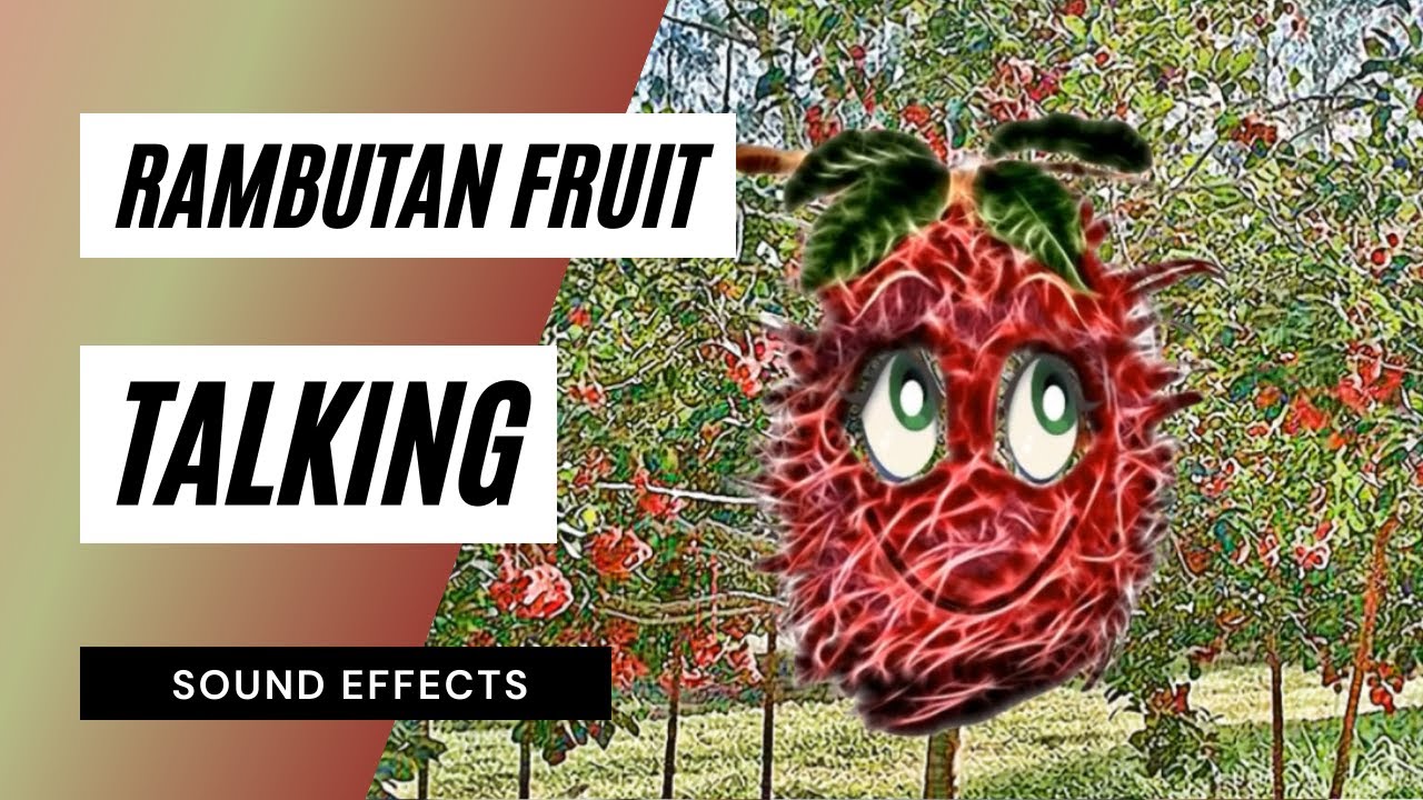 Rambutan Fruit Talking / Sound Effect / Animation - YouTube