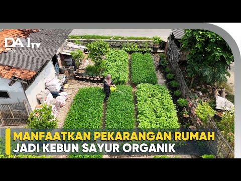 Kebun Organik Pekarangan Rumah