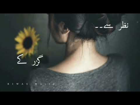 Qissa Meharbano Ka OST Status || Drama OST Song Status || 1 Minutes Status Video