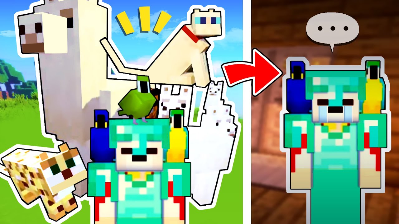 동물들이 다 사라졌어요!! Minecraft - YouTube