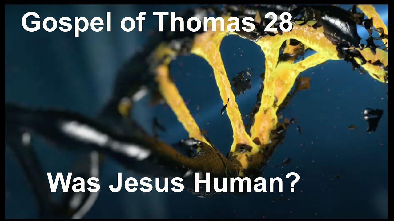 Thomas 28. Was #Jesus born December 25th? Was He human or God? #truth # ...