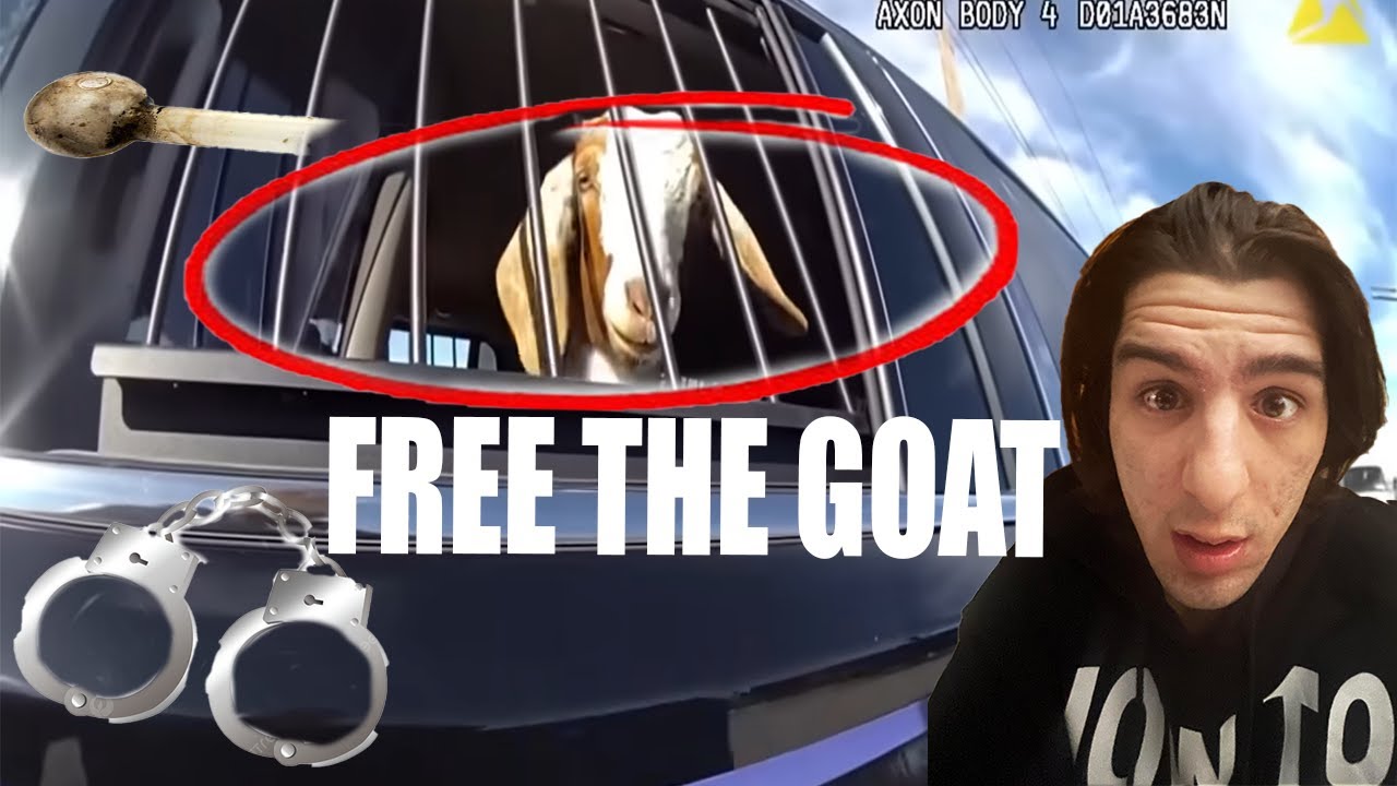 GOAT gets wrongfully arrested.. (STREAM HIGHLIGHT) - YouTube