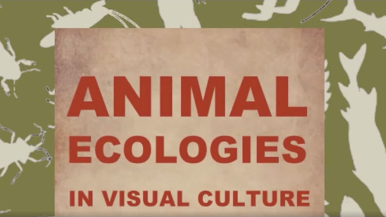 Towards New Animal Phenomenologies - GIOVANNI ALOI-RON BROGLIO - YouTube