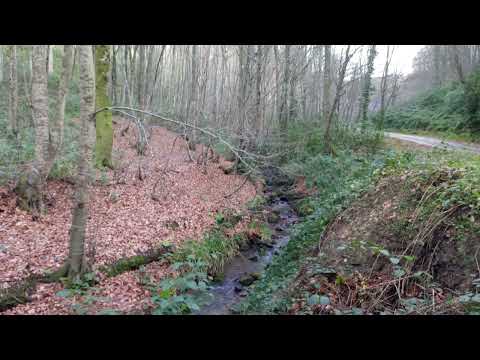 Zonguldak Sonbahar Manzaraları